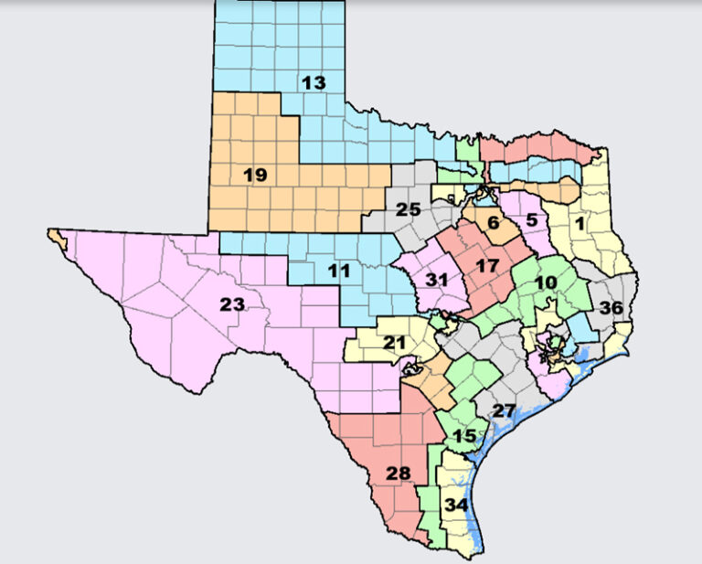 Volume XXIV Number 8 - Texas Conservative Review